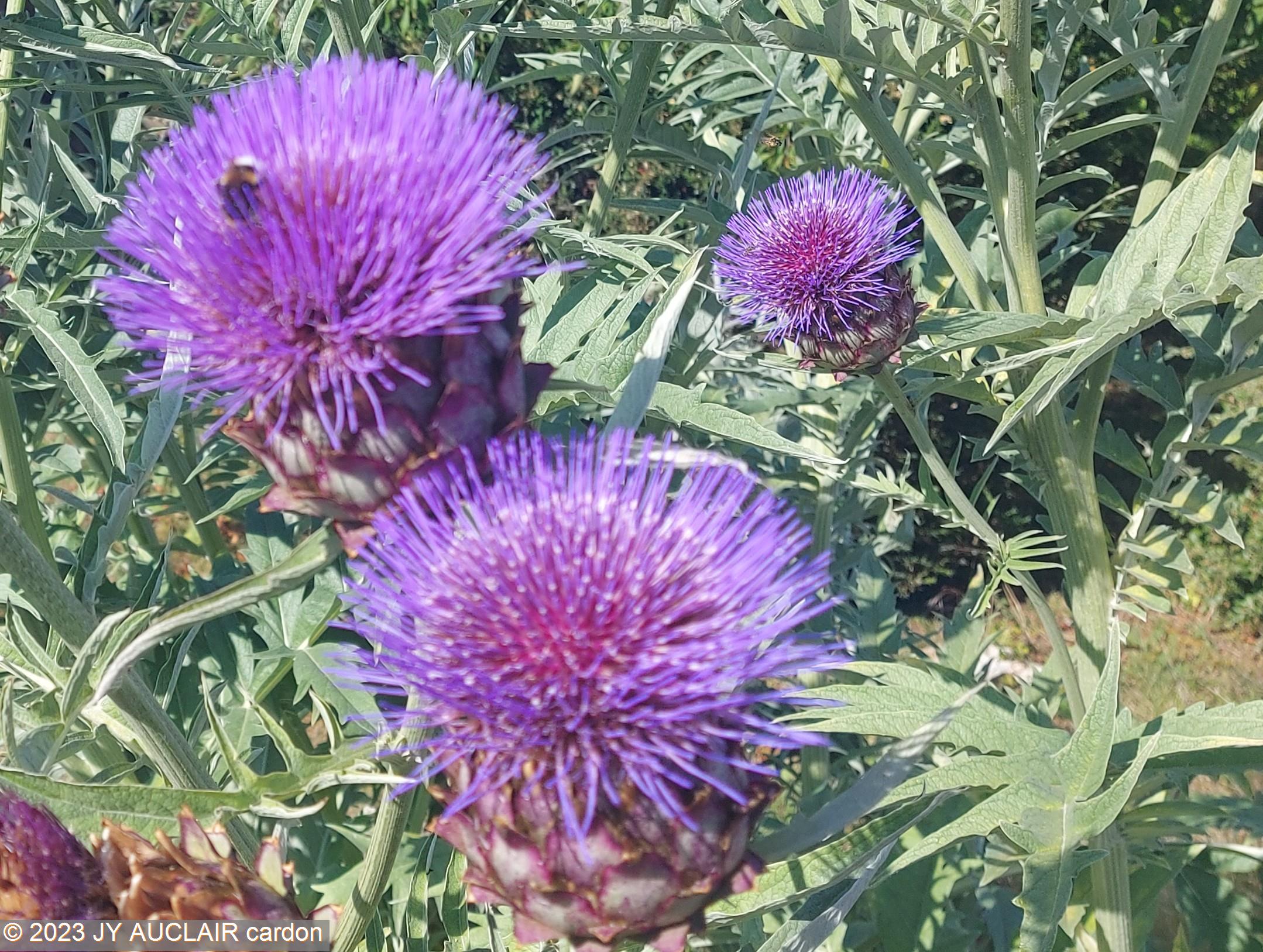 FNAR - Fédération Nationale des Associations de Retraités